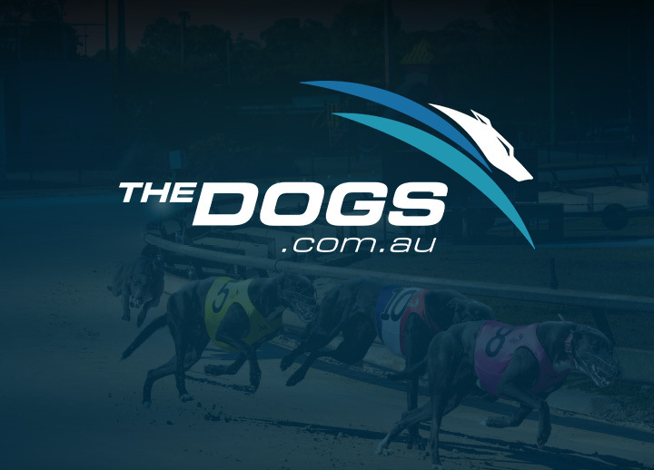 Greyhound Racing NSW